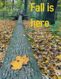 Fall 2020 Template | PosterMyWall