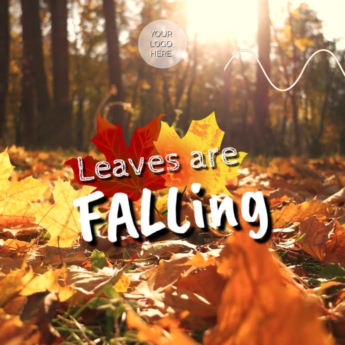 FALL SQUARE VIDEO SOCIAL MEDIA Template | PosterMyWall