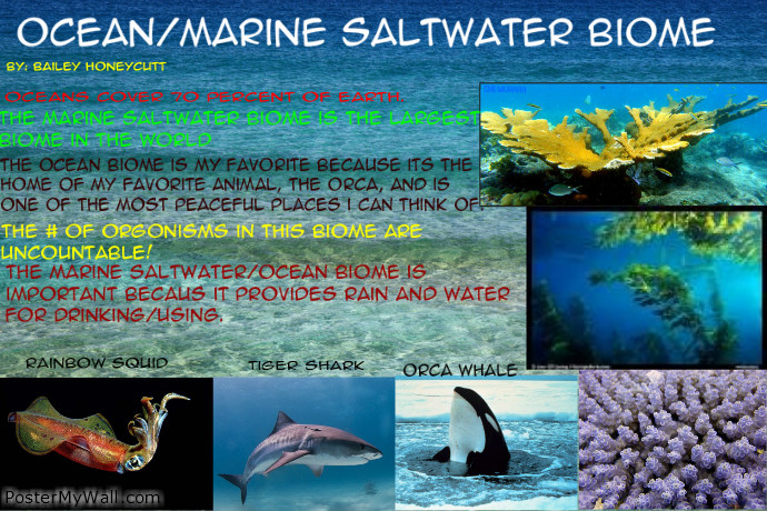 Ocean/Marine Saltwater Biome | PosterMyWall