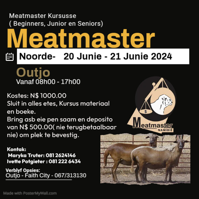 Copy of Python Masterclass Course Ad Post Template | PosterMyWall