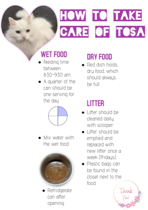 HOW TO TAKE CARE OF PETS | PosterMyWall