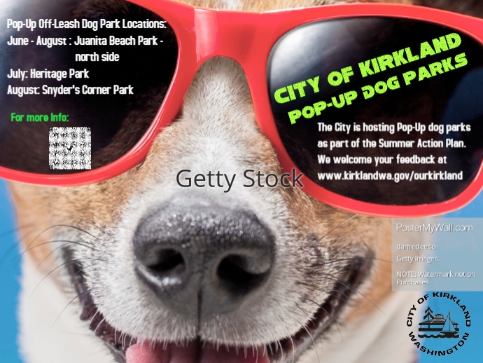 Copy of dog boarding flyer | PosterMyWall
