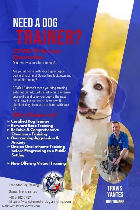 Dog Training Ad | PosterMyWall