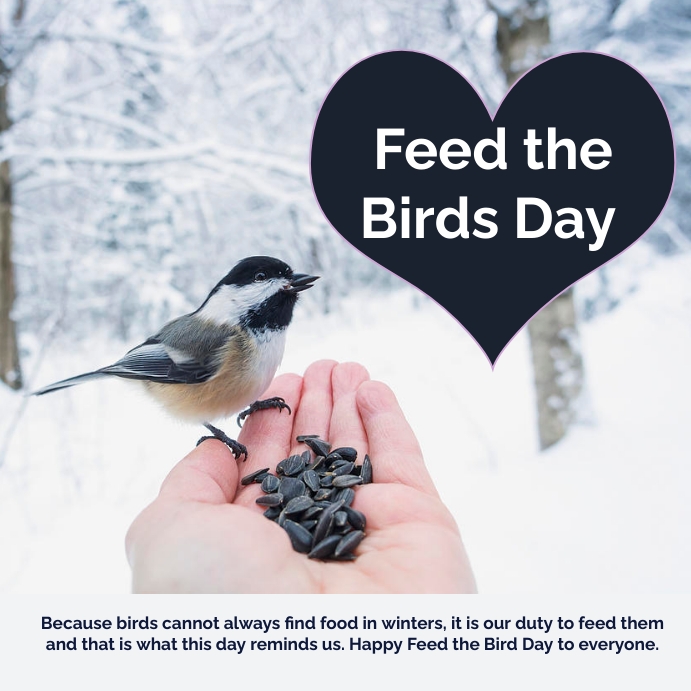 feed the birds day Template | PosterMyWall