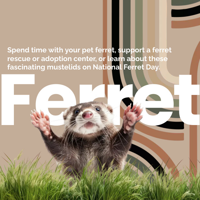 Copy of Ferret Day Instagram Post | PosterMyWall