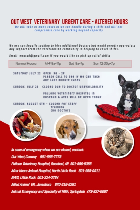 Copy of Dog Pet care wash service flyer template | PosterMyWall