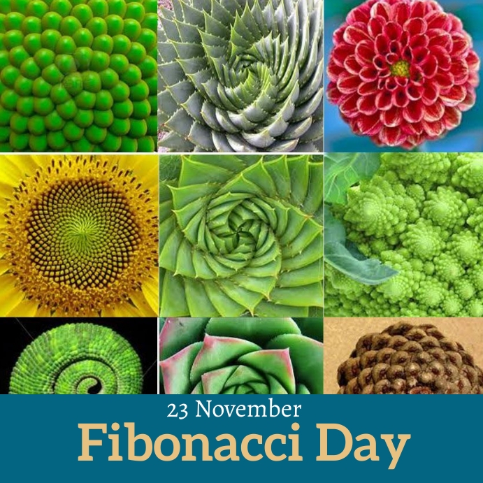 fibonacci day Template | PosterMyWall