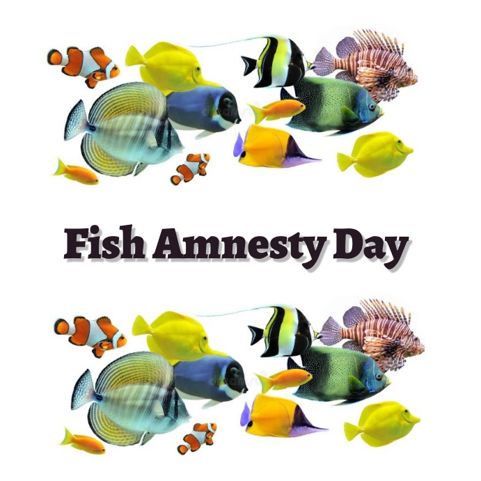 fish amnesty day Template | PosterMyWall