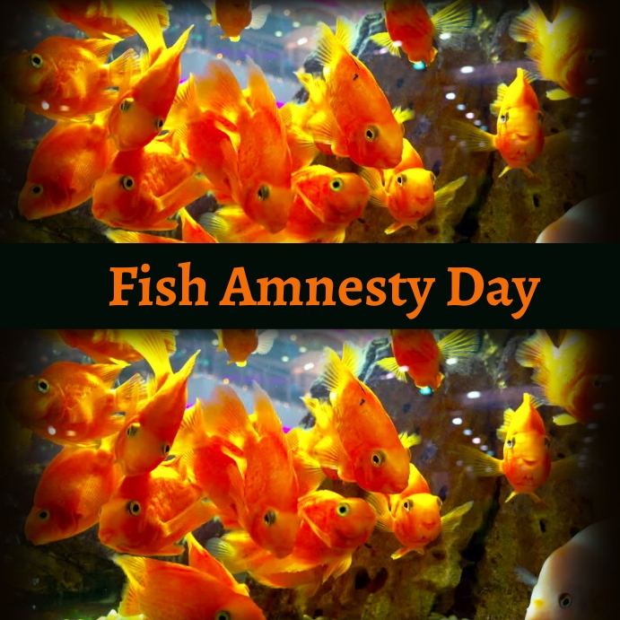 fish amnesty day Template | PosterMyWall