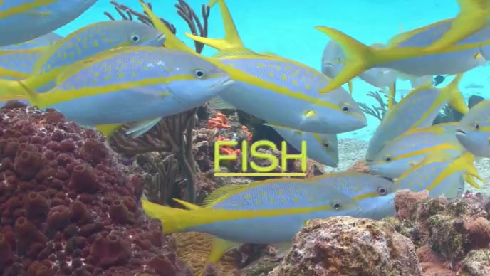 FISH IN POOL Template | PosterMyWall