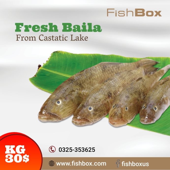 Fish Sale Banner Design Template | PosterMyWall