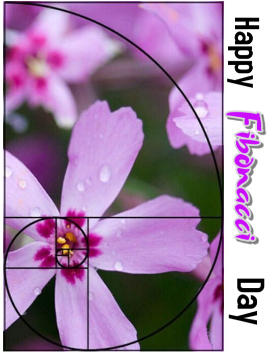 Floral Fibonacci Day Poster Flyer (us Letter) Template | PosterMyWall