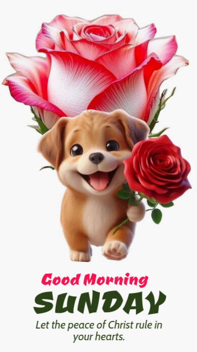 Floral Good Morning Sunday Whatsapp Status Template | PosterMyWall