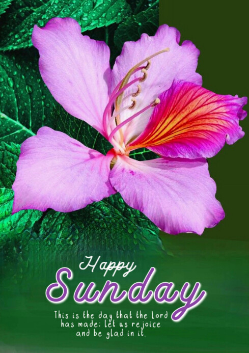 Floral Happy Sunday A4 Template | PosterMyWall