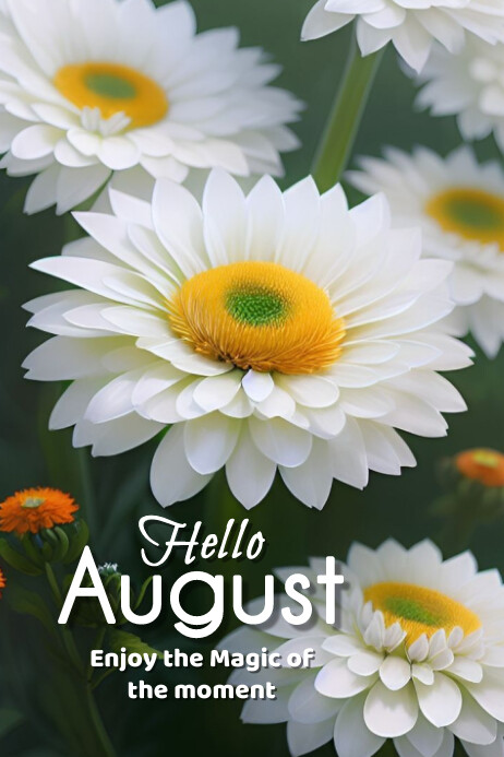 Floral Hello August Banner 4' × 6' Template | PosterMyWall