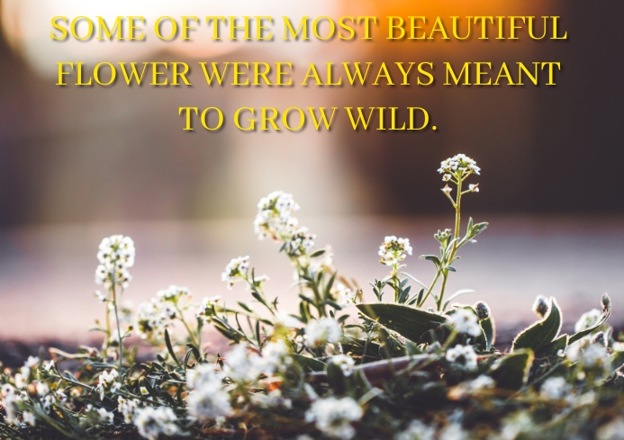 FLOWER AND WILD QUOTE TEMPLATE | PosterMyWall