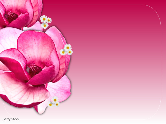 Copy of Flower Background | PosterMyWall
