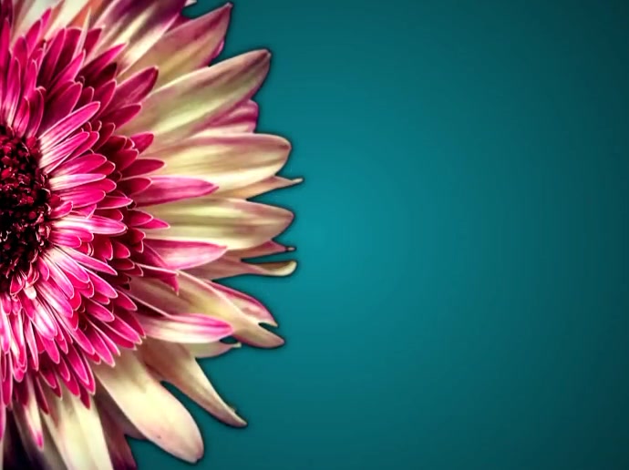 Flower Background Template | PosterMyWall