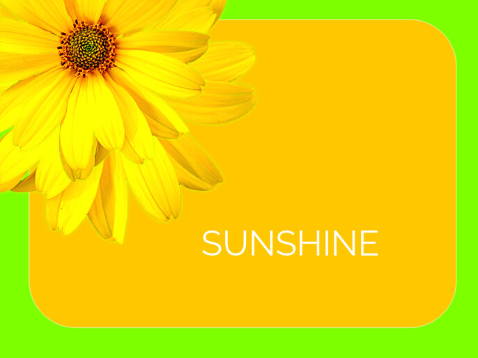 Flower blank card Template | PosterMyWall