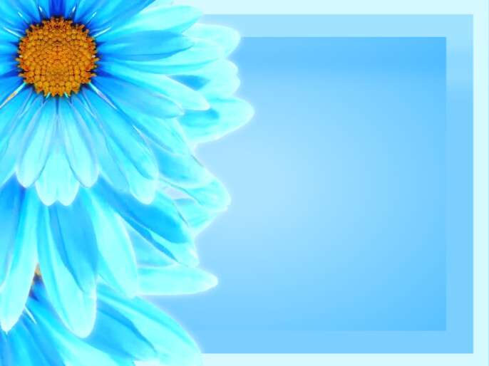 Flower blank cards Template | PosterMyWall