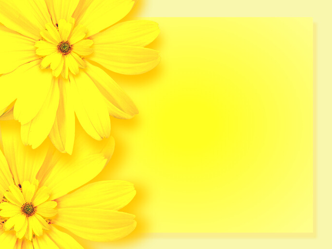 Flower blank cards Template | PosterMyWall