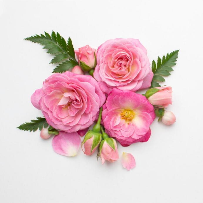 Flower floral pattern design flyer Template | PosterMyWall