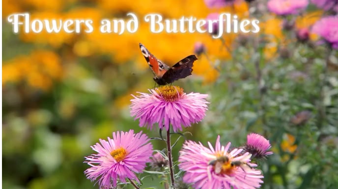 Copy of Flowers | PosterMyWall