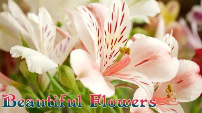 Copy of Flowers | PosterMyWall