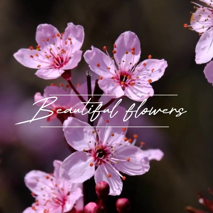 Flowers Template | PosterMyWall