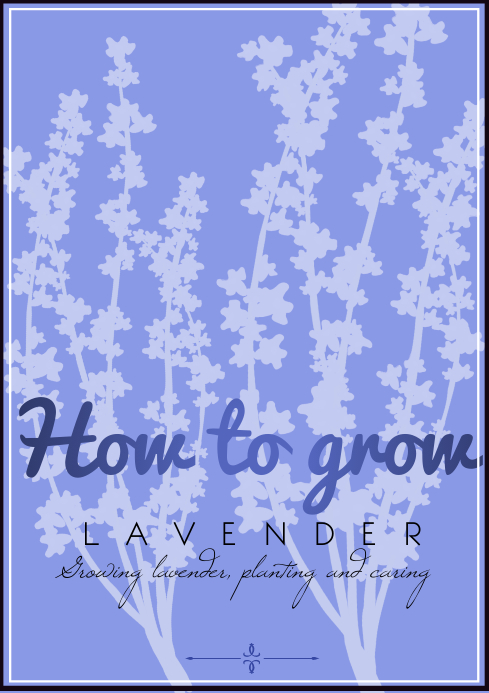flyer templates how to grow lavender | PosterMyWall