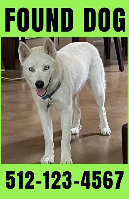 Found Dog Poster Tabloid/Ledger (11in × 17in Template | PosterMyWall