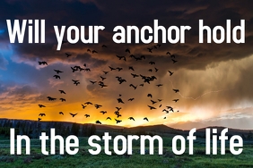 trees are friends, be strong like a tree Template | PosterMyWall