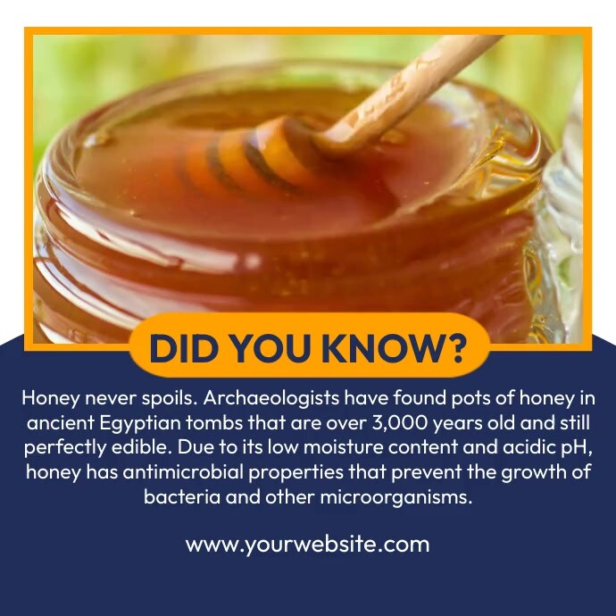 Fun Facts Ads Template | PosterMyWall