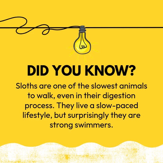 Copy of Fun Facts | PosterMyWall