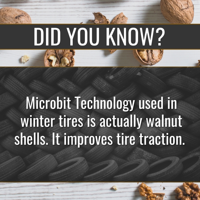 Copy of Fun facts: walnut sheels and winter tires | PosterMyWall
