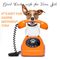 Pug meme template | PosterMyWall