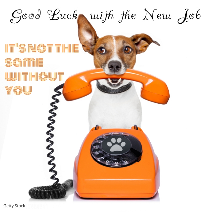 Good Luck New Job Meme