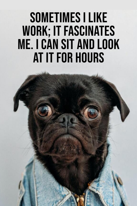 funny quote poster design Template | PosterMyWall