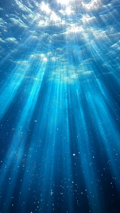 Futuristic Light Reflection Digital Display (9:16) Template | PosterMyWall