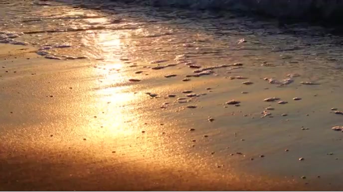 Plantilla de Playa de Goa | PosterMyWall