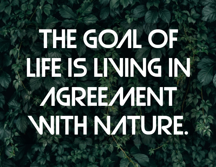 Copy of goal of life quote | PosterMyWall