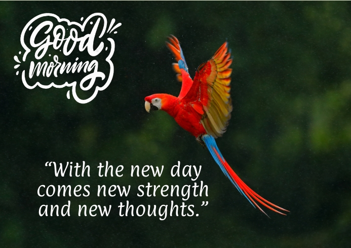 Good morning Template | PosterMyWall