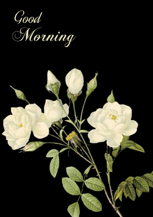 Plantilla de good morning | PosterMyWall