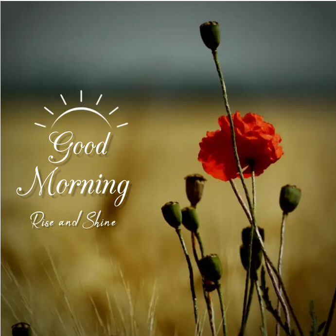Good Morning Template | PosterMyWall