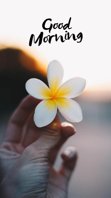 Good Morning Flower Story Template | PosterMyWall