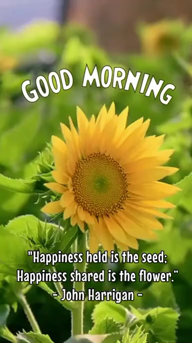 Good Morning Greeting Template | PosterMyWall