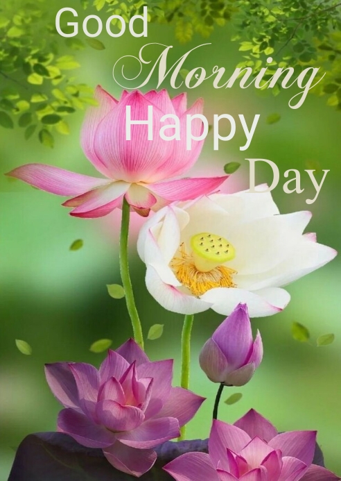 good morning happy day Template | PosterMyWall