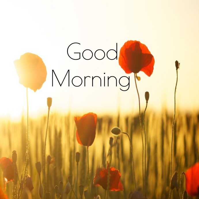 Good morning Instagram post Template | PosterMyWall