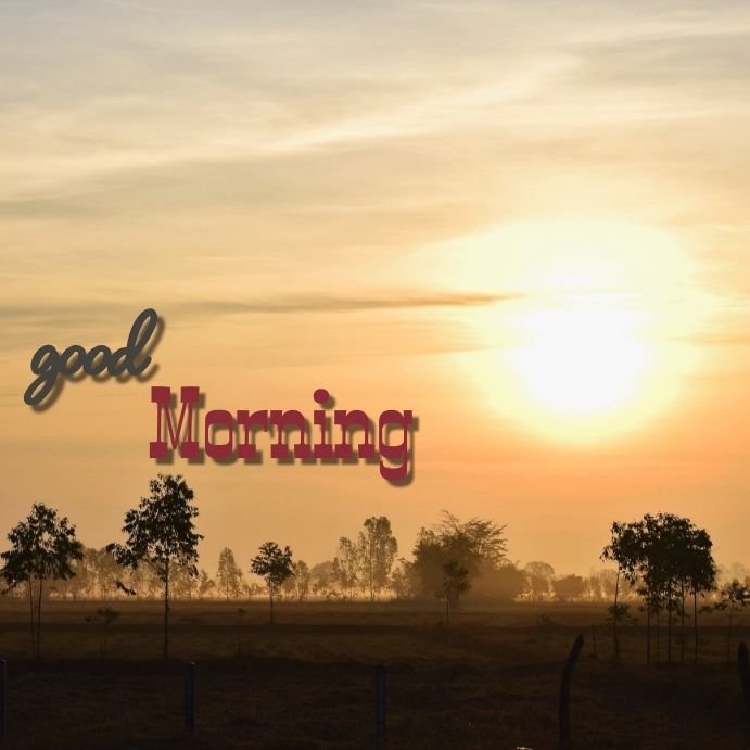 Good morning Instagram post Template | PosterMyWall