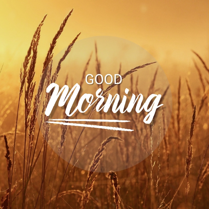 Copy of Good morning Instagram Post | PosterMyWall